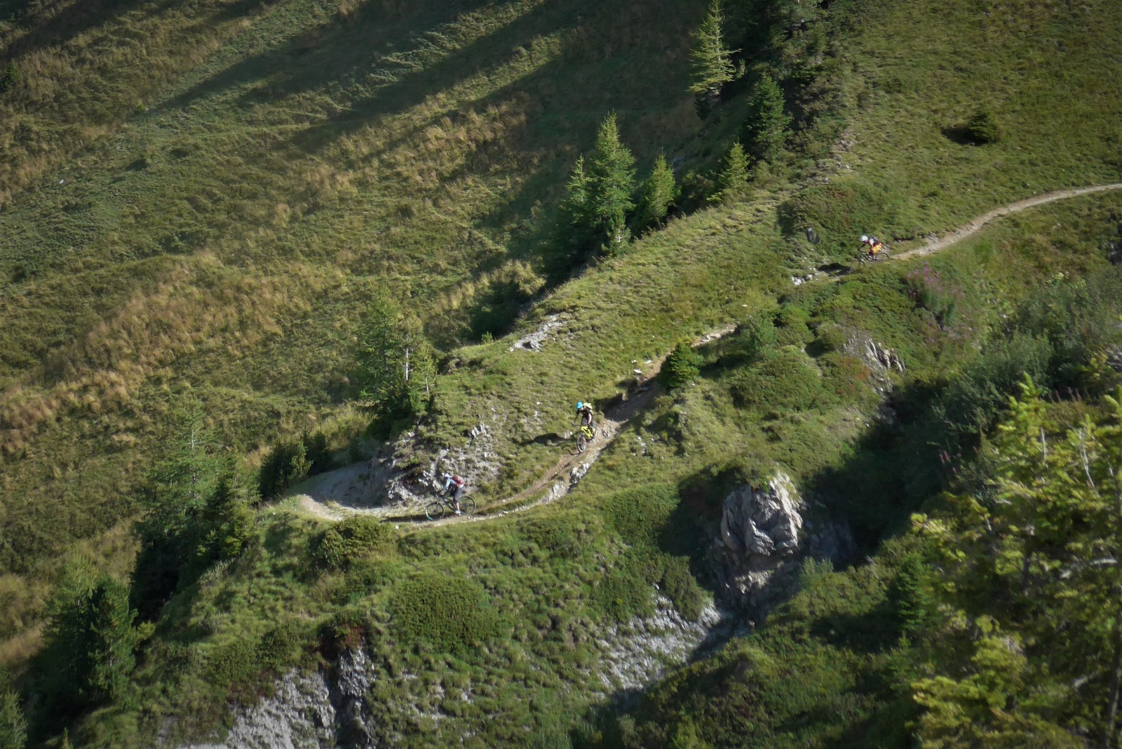 About | Alpine Flow MTB