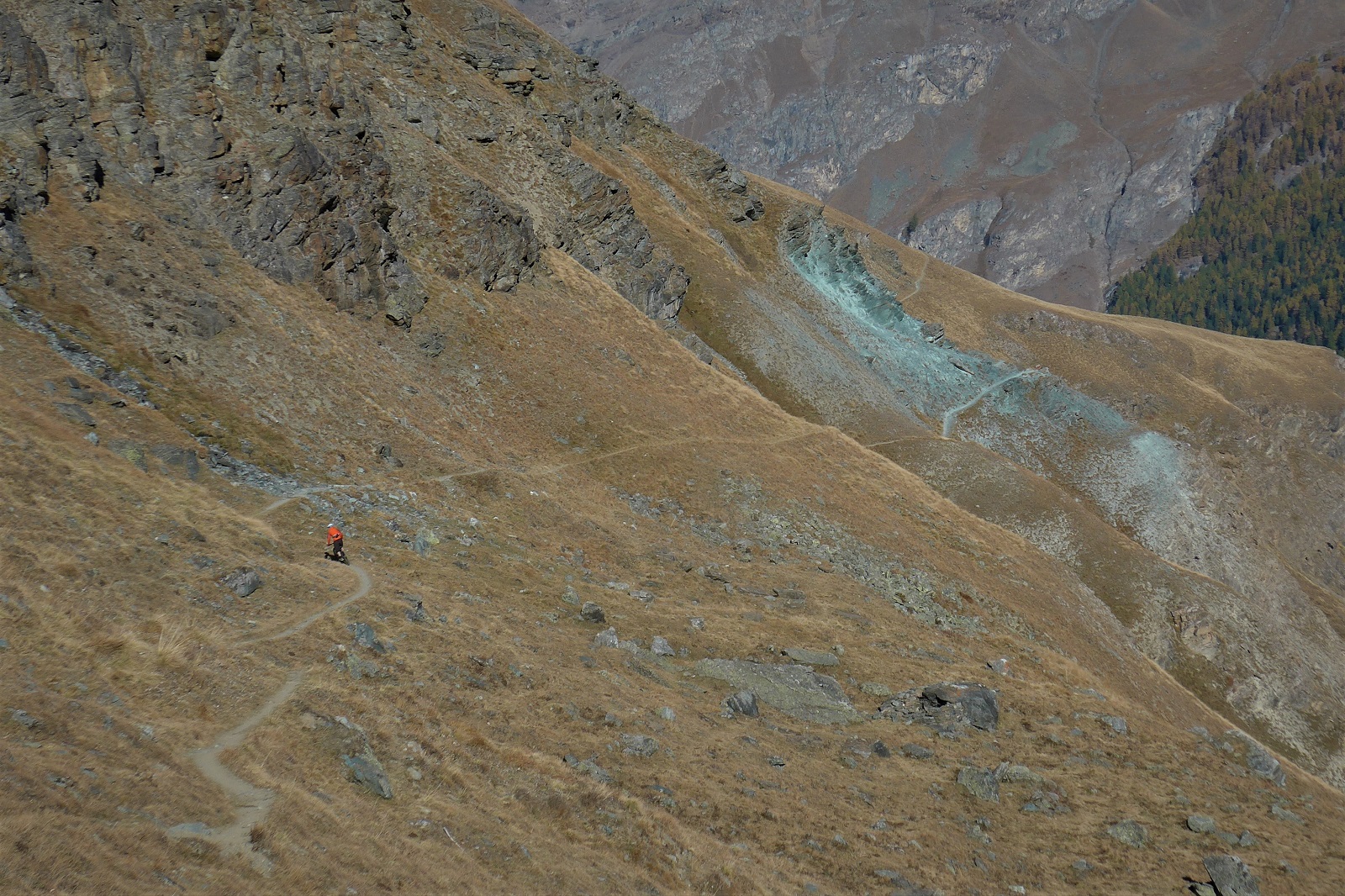 Booking | Alpine Flow MTB