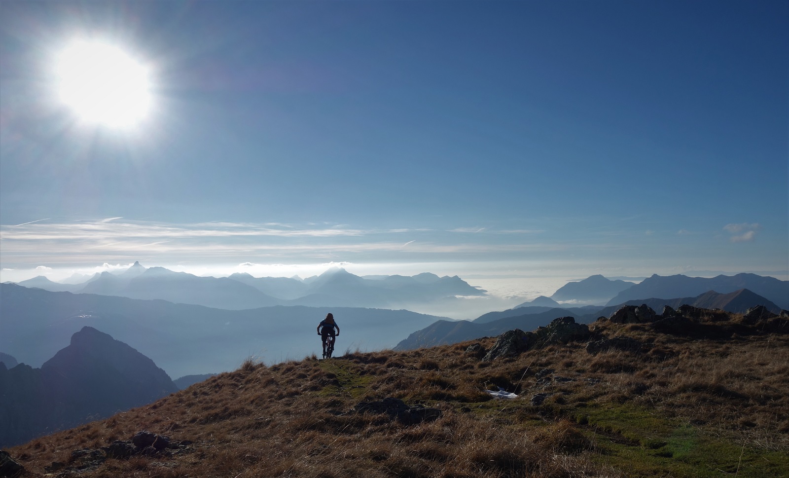 Alpine Flow MTB. Guiding you to your new best trail ever